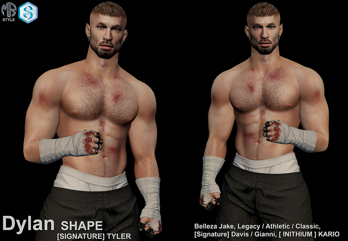 Second Life Marketplace - :: Mr Style :: Shape Dylan - [Signature ...